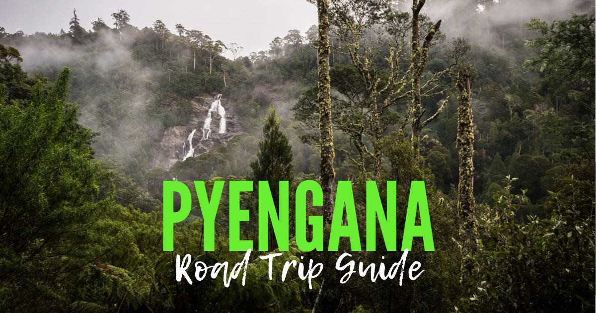 Pyengana Tasmania - Road Trip Guide