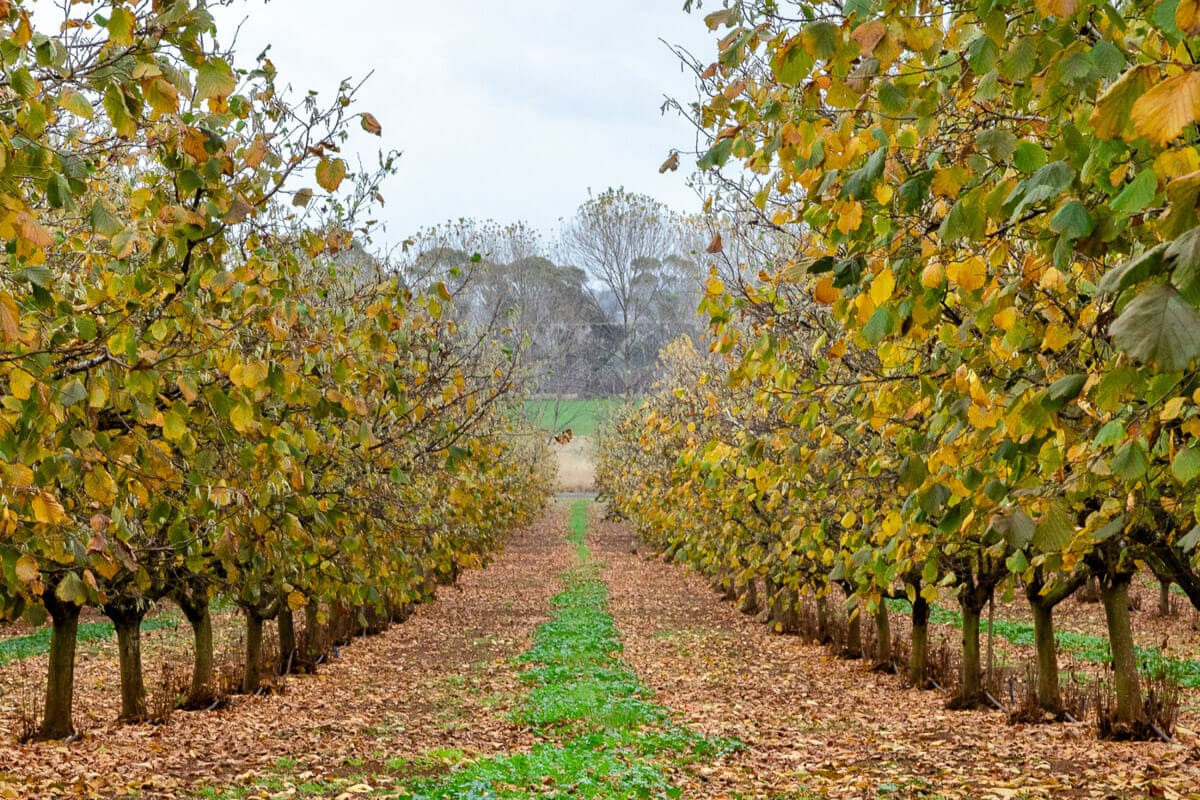 Lap of Tasmania Road Trip - Partners and Exclusive Offers